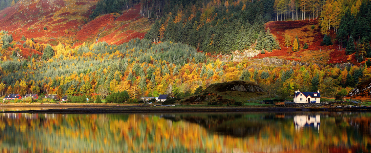 Contact us - Scottish Rural Network