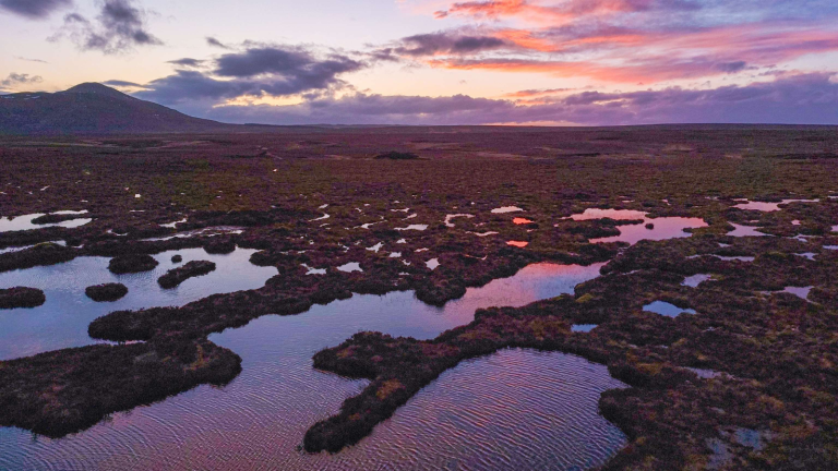 World Heritage status for Flow Country - Scottish Rural Network