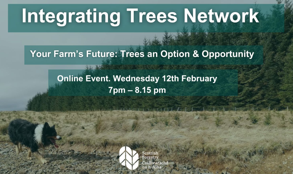 Your farm's future: Trees an option and opportunity? Why and how they ...
