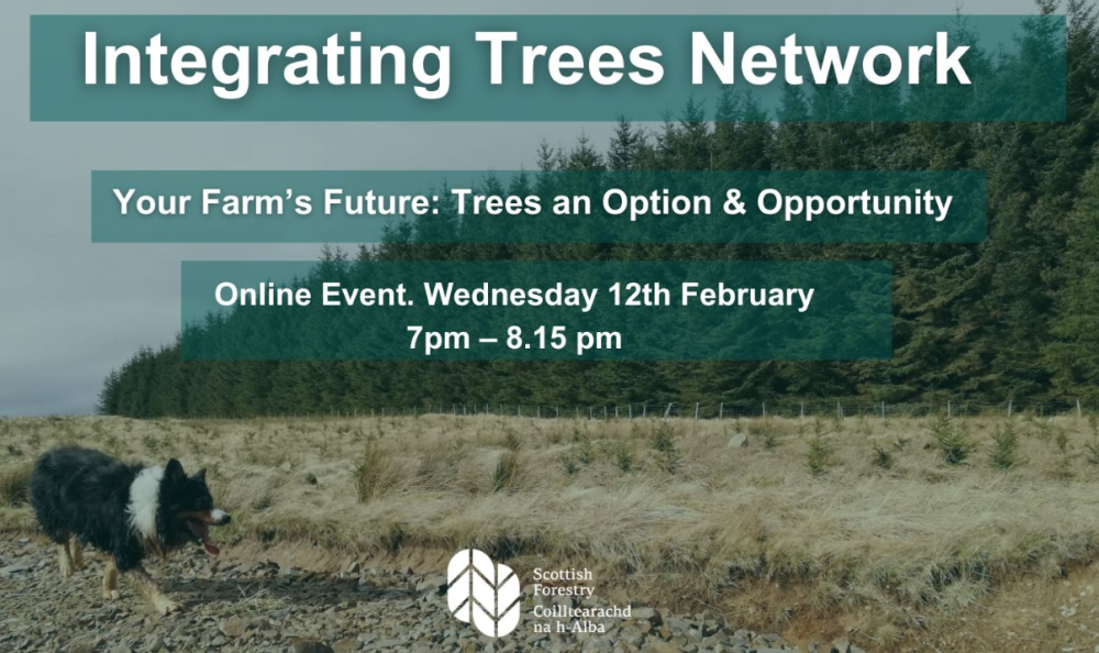 Your farm's future: Trees an option and opportunity? Why and how they ...