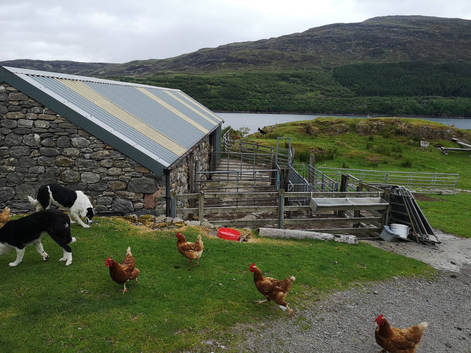 Building a stronger crofting future through succession planning ...