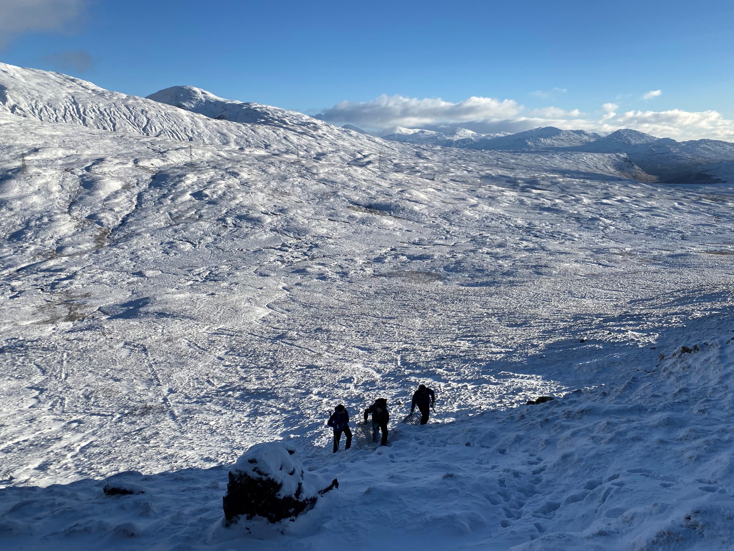 Rare mountain plants to be restored at Ben Lui - Scottish Rural Network